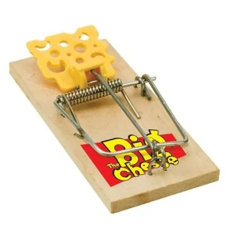 Big Cheese Fresh Baited Rat Trap only £3.29